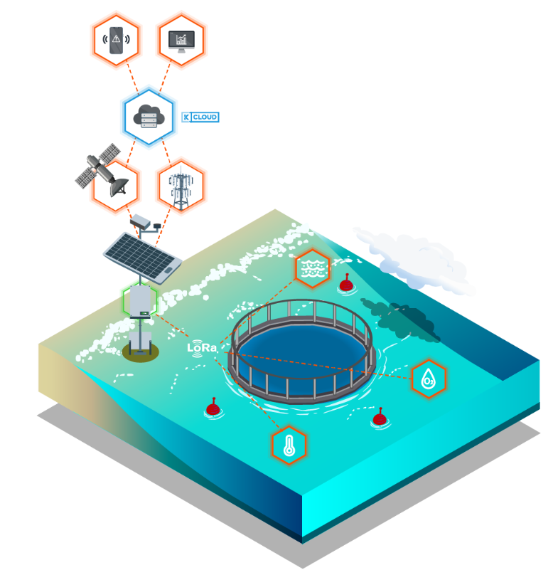 Boost Your Farm's Productivity | On-Farm Connectivity Program ...