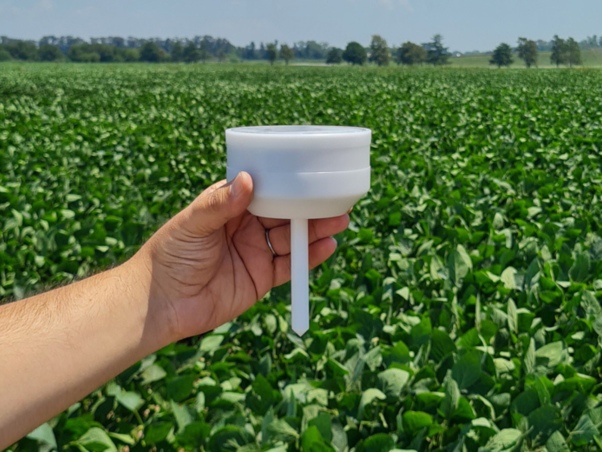 Smart Silobag Sensors | Grain Monitoring | Buy Now | AU | NZ